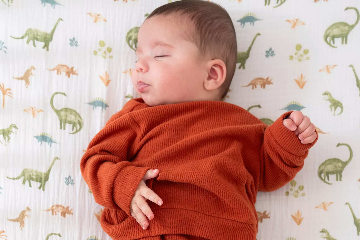 aden + anais | Stylish & Versatile Muslin Products