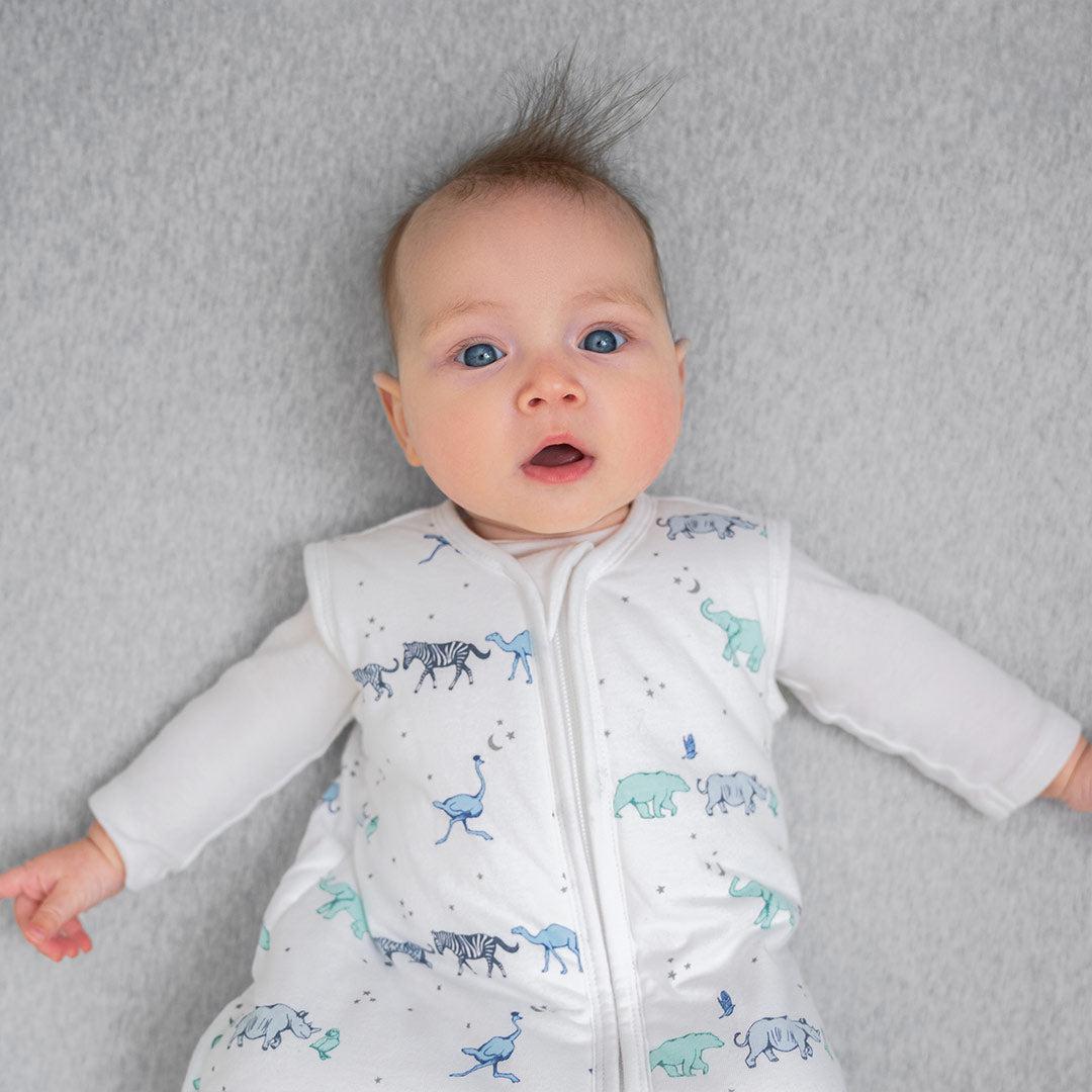 aden + anais Winter Sleeping Bag 2.5 TOG - Rising Star Sleeping Bags ...