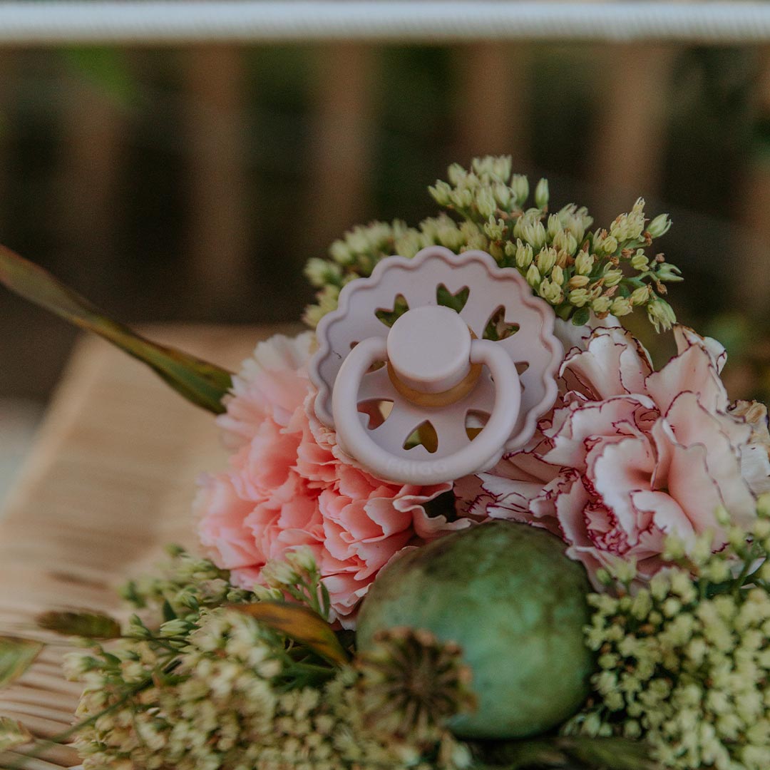 FRIGG Fairytale Latex Pacifier - 2 Pack - The Ugly Duckling - The Litt ...